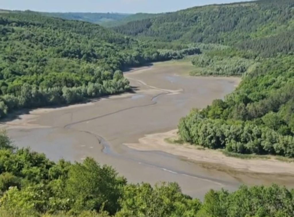 Fluviul Nistru, în pericol: Plantele și mâlul amenință ecosistemul, un ...