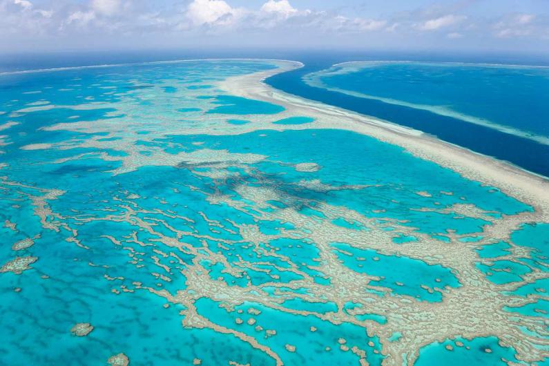 Oceanul Planetar își va schimba culoarea în următorii ani – Știri de ...